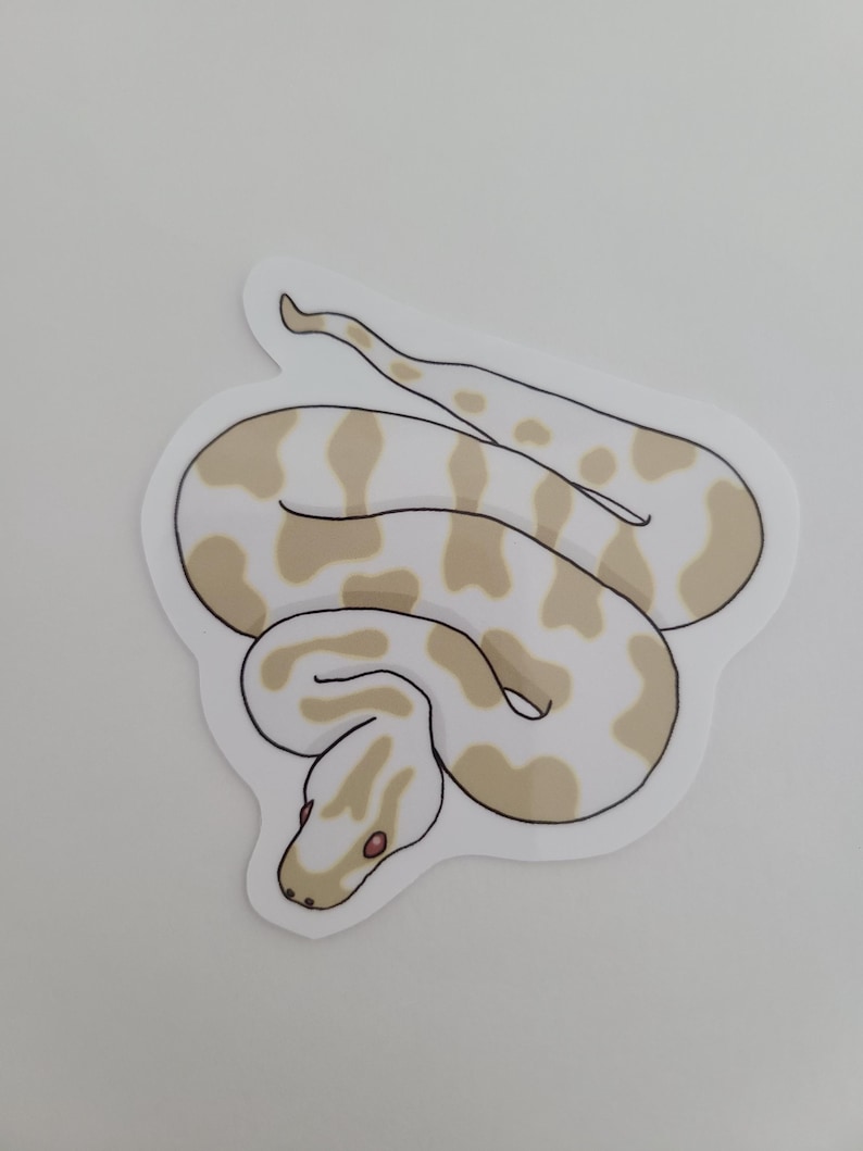 Ball Python Snake Vinyl Weatherproof Sticker/charming Kawaii Pet ...