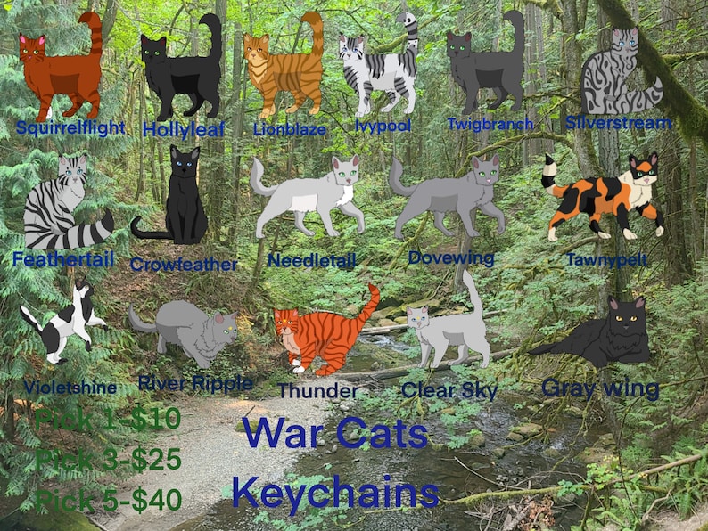 War Cats Keychains - Etsy