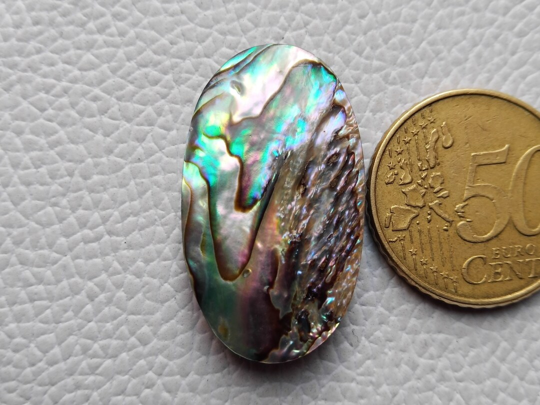 Oval Shape Natural Abalone Shell Gemstone 33x18x6 Mm, Loose Abalone ...