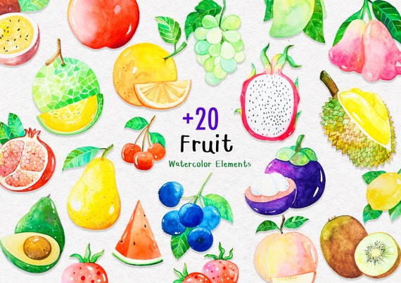 Fruit Watercolor Clipartwatercolor Fruits Clipart Fruit Clip - Etsy