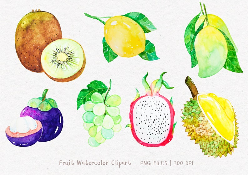 Fruit Watercolor Clipart,watercolor Fruits Clipart Fruit Clip Art ...