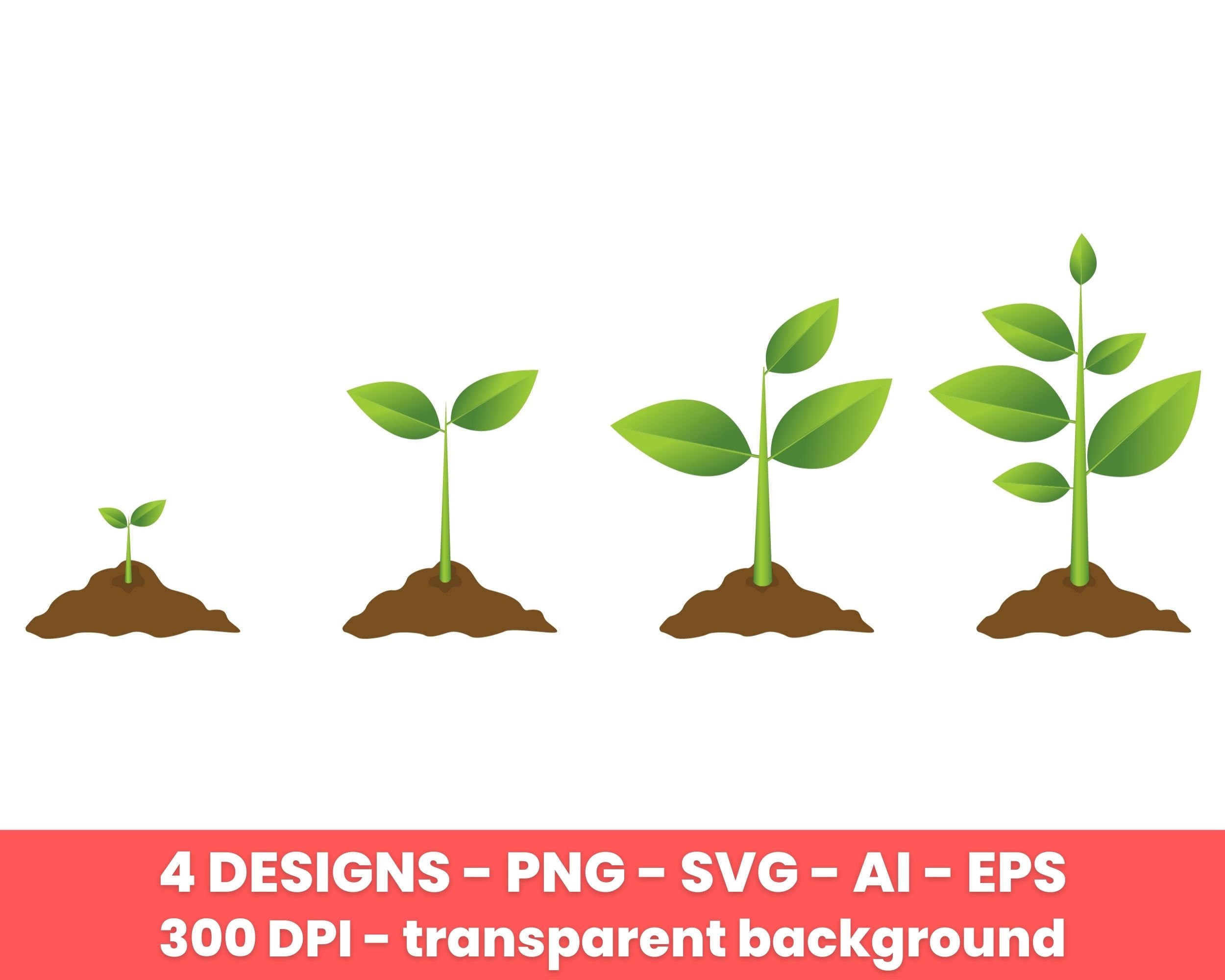 Plant Grow Clipart
