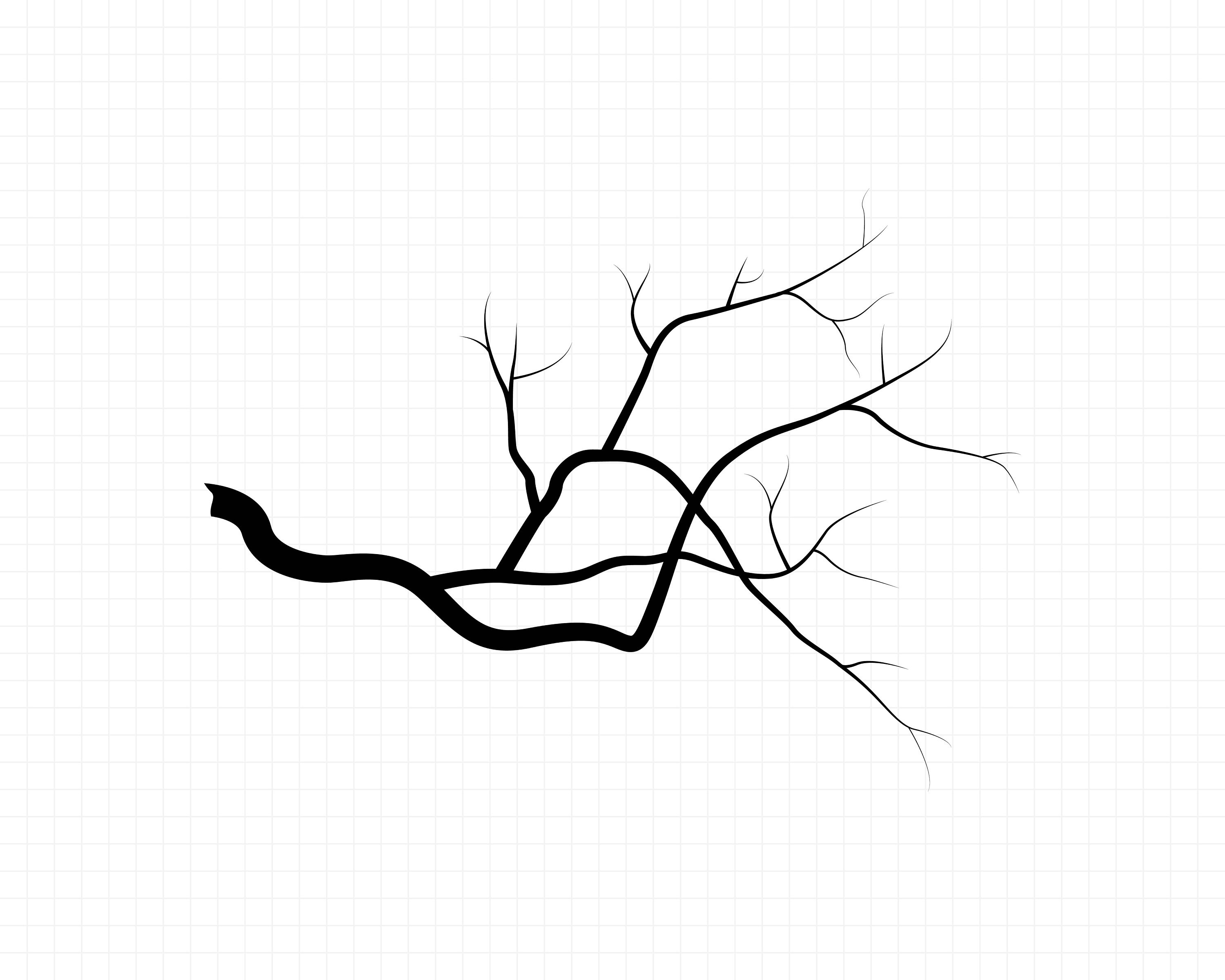 Tree Branch Clipart Set Vector Graphics Commercial Use - Etsy