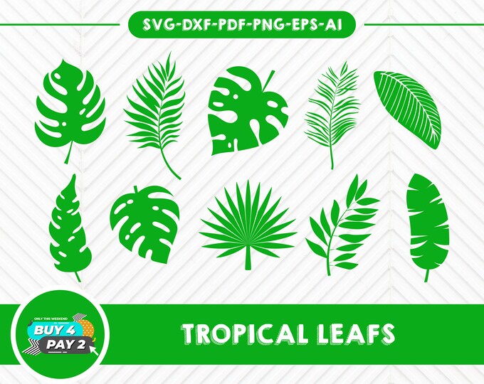 Tropical Leaves SVG Bundle, Tropical Leaf Svg, Jungle Leaves Svg, Palm Leaf Svg, Eps, Dxf, Ai ...
