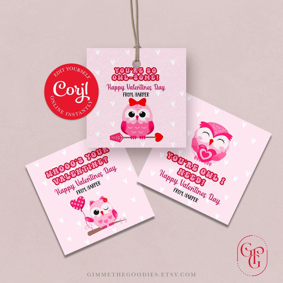 EDITABLE Owl Valentine Gift Tag, Bundle, Valentine Gift Label ...