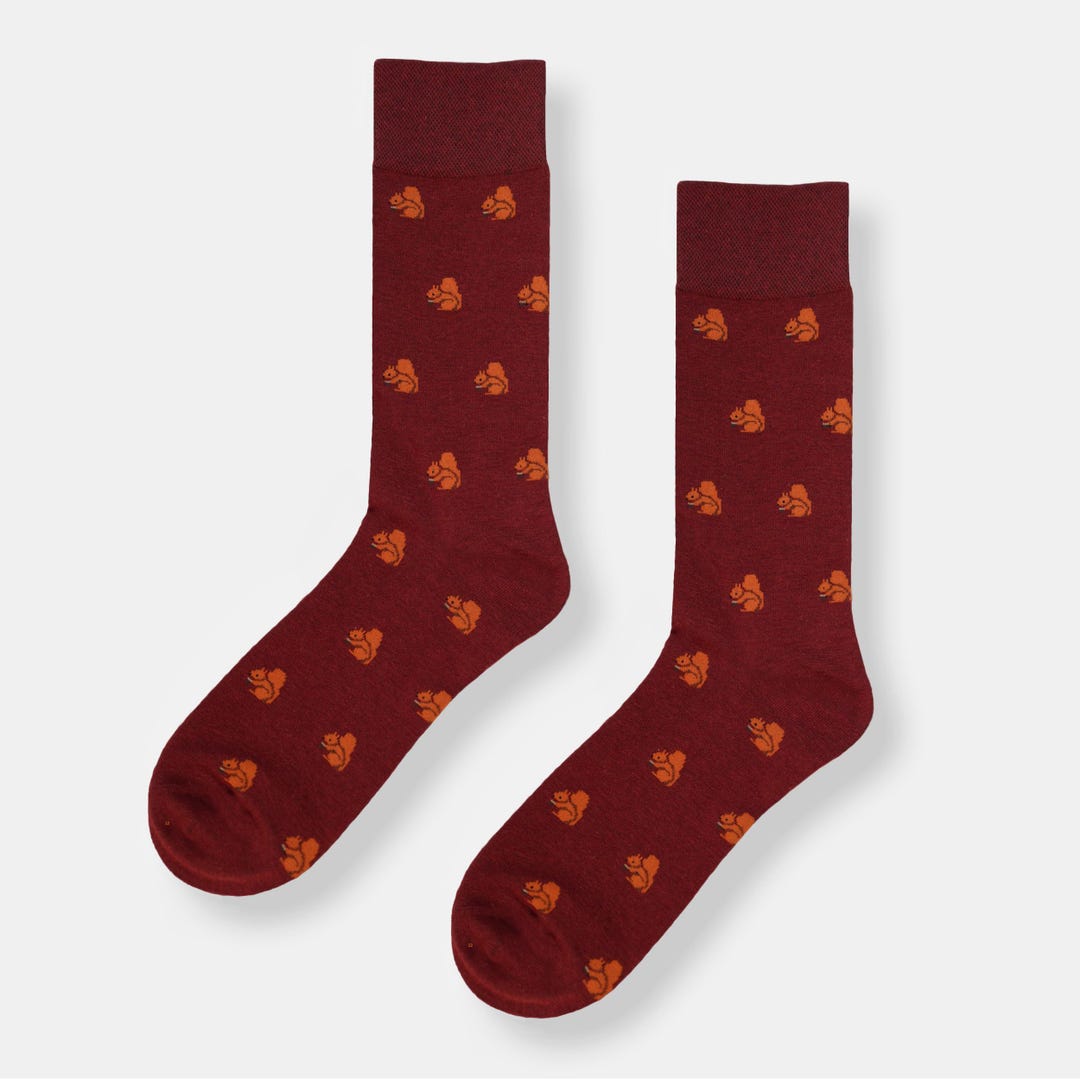 Red Squirrel Socks - Fun Woodland Animal Gift - Etsy UK