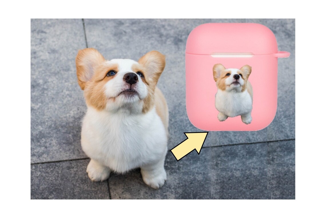 Customized Dog AirPod Case, Custom Pet Photo Airpods Keychain ...