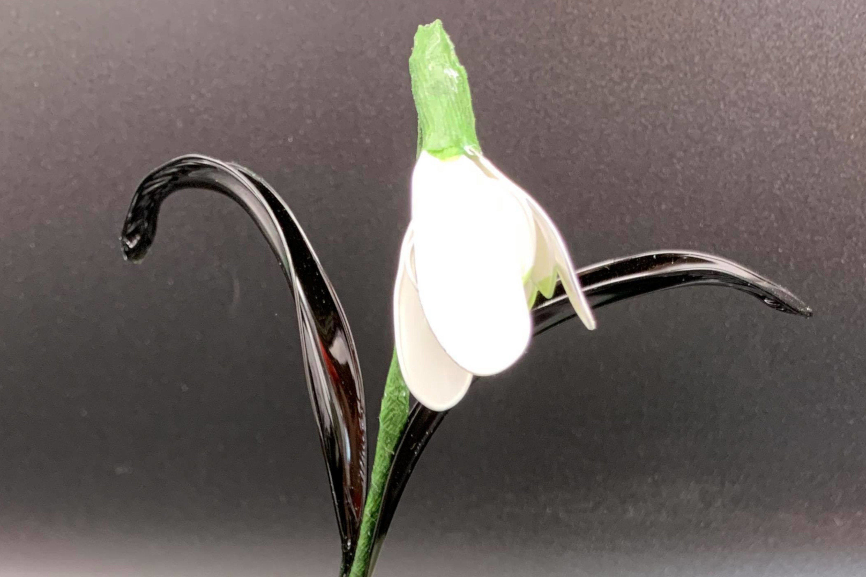 Dip Resin Snowdrop Flower Kit Complete Translucent/opaque | Etsy UK