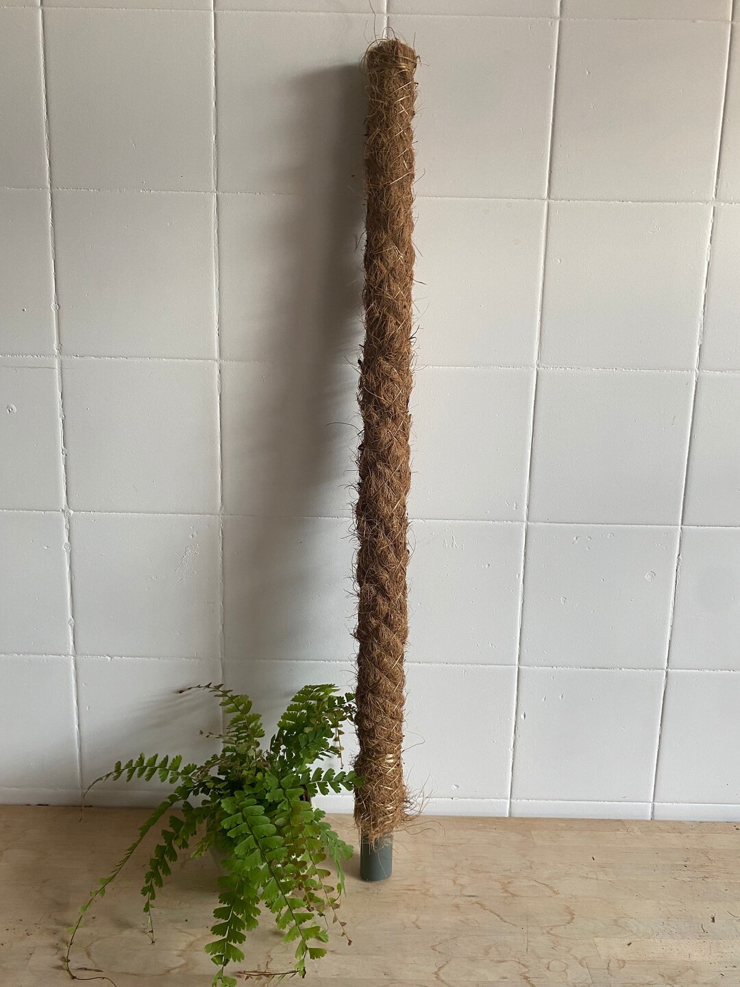 Moss Pole Monstera Pole Coir Pole Support for Climbing Plants Monstera ...