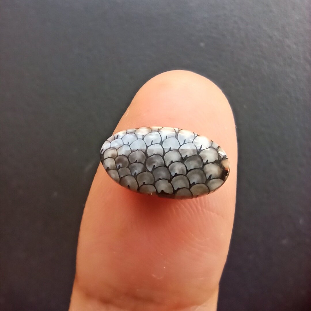 Snake Skin Stone - Etsy