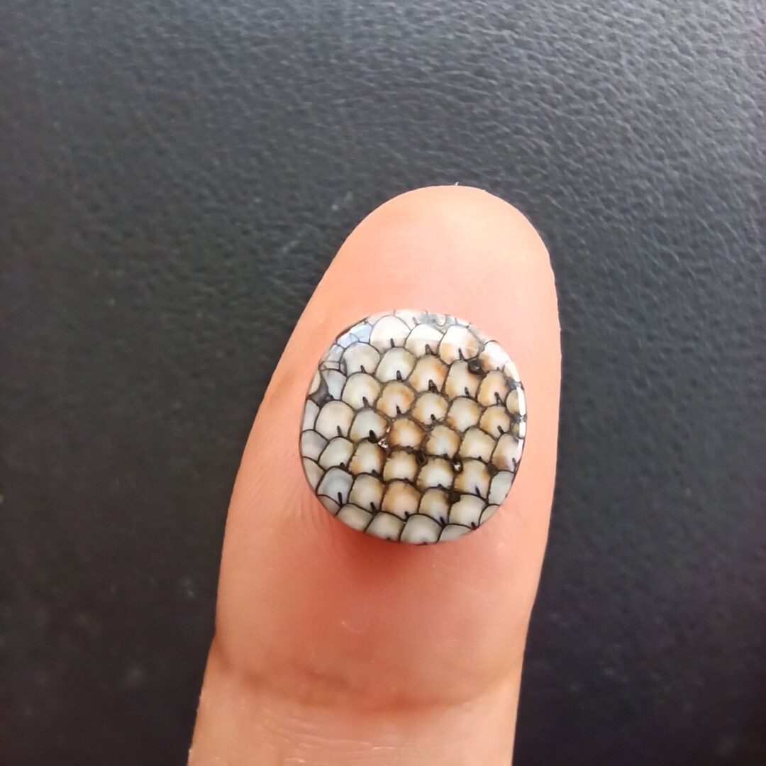 Snake Skin Stone - Etsy