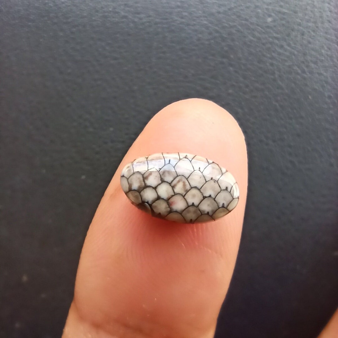 Snakeskin Stone - Etsy