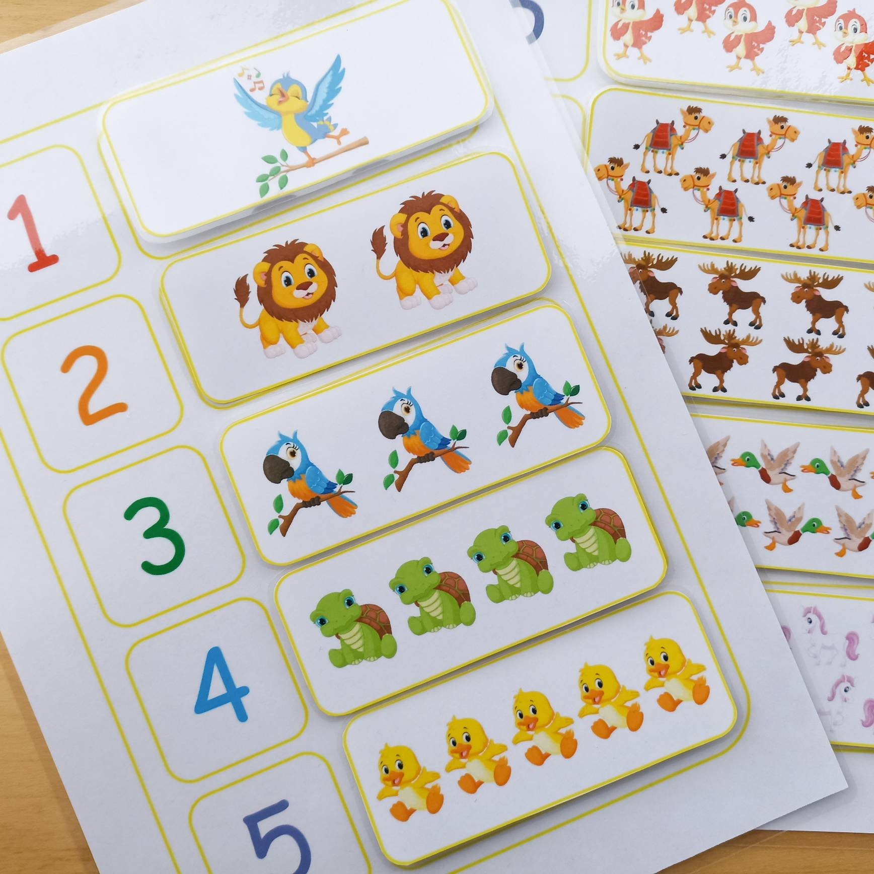 Counting Practice Activity, 1 to 10 Counting Montessori, Learn to Count ...