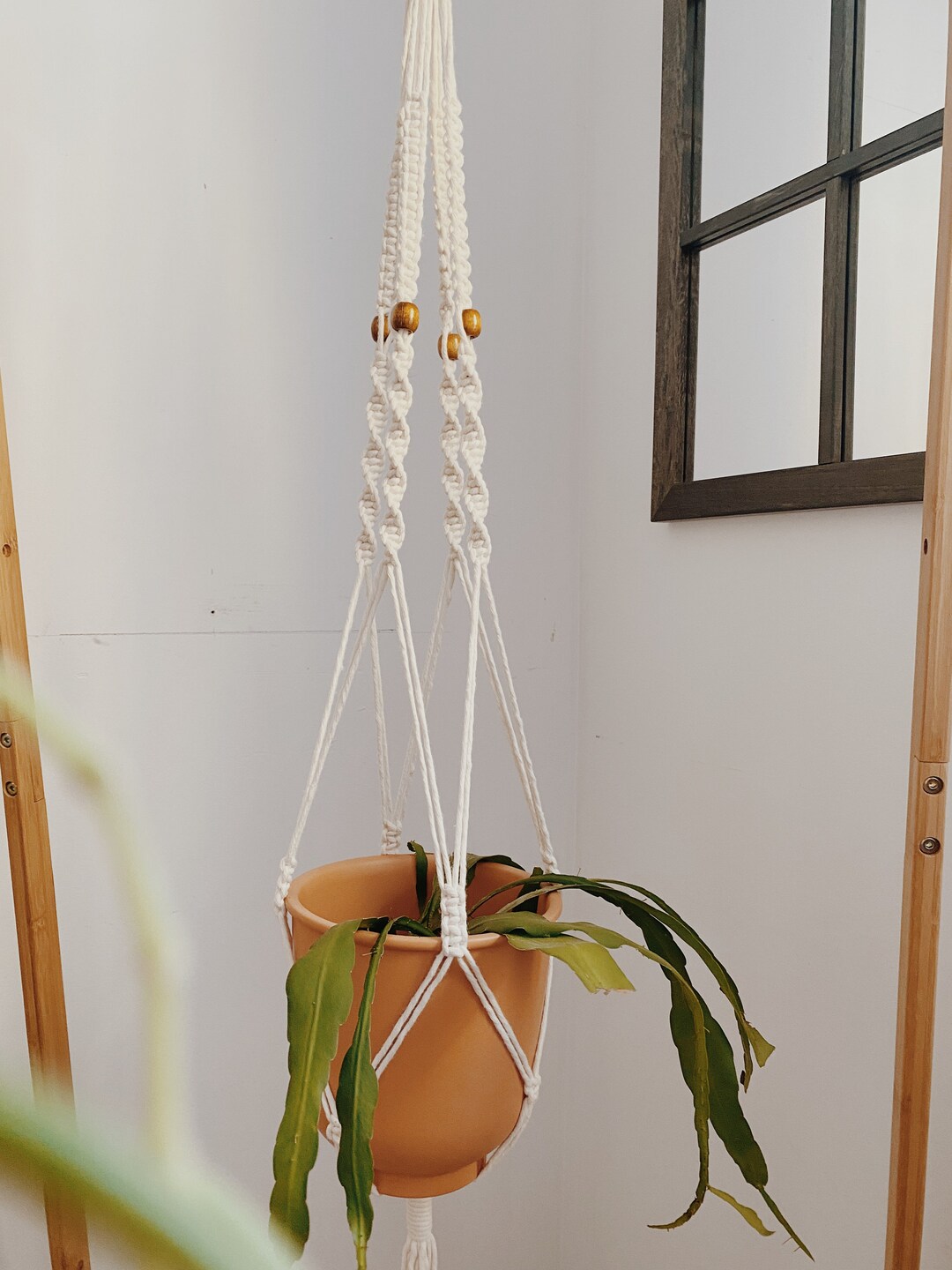 Macrame Plant Hanger Beads / 9 Colour Choices/ Boho Decor / - Etsy