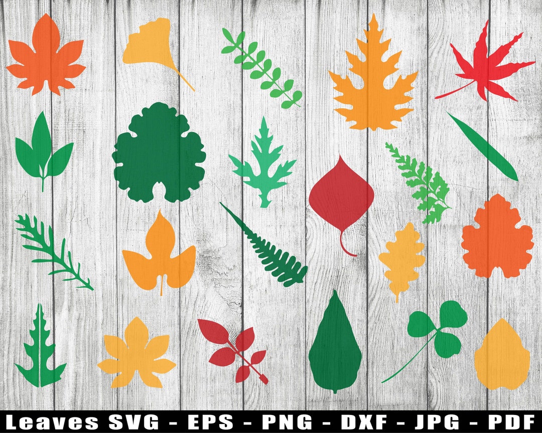 Leaves SVG Cut File, Colour Leaves Silhouettes SVG, Iron on Leaves PNG ...