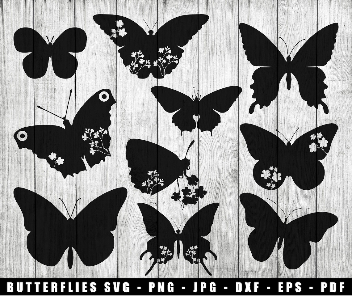 Papillons SVG, Papillon SVG, Papillons coupé fichier, Papillons PNG ...
