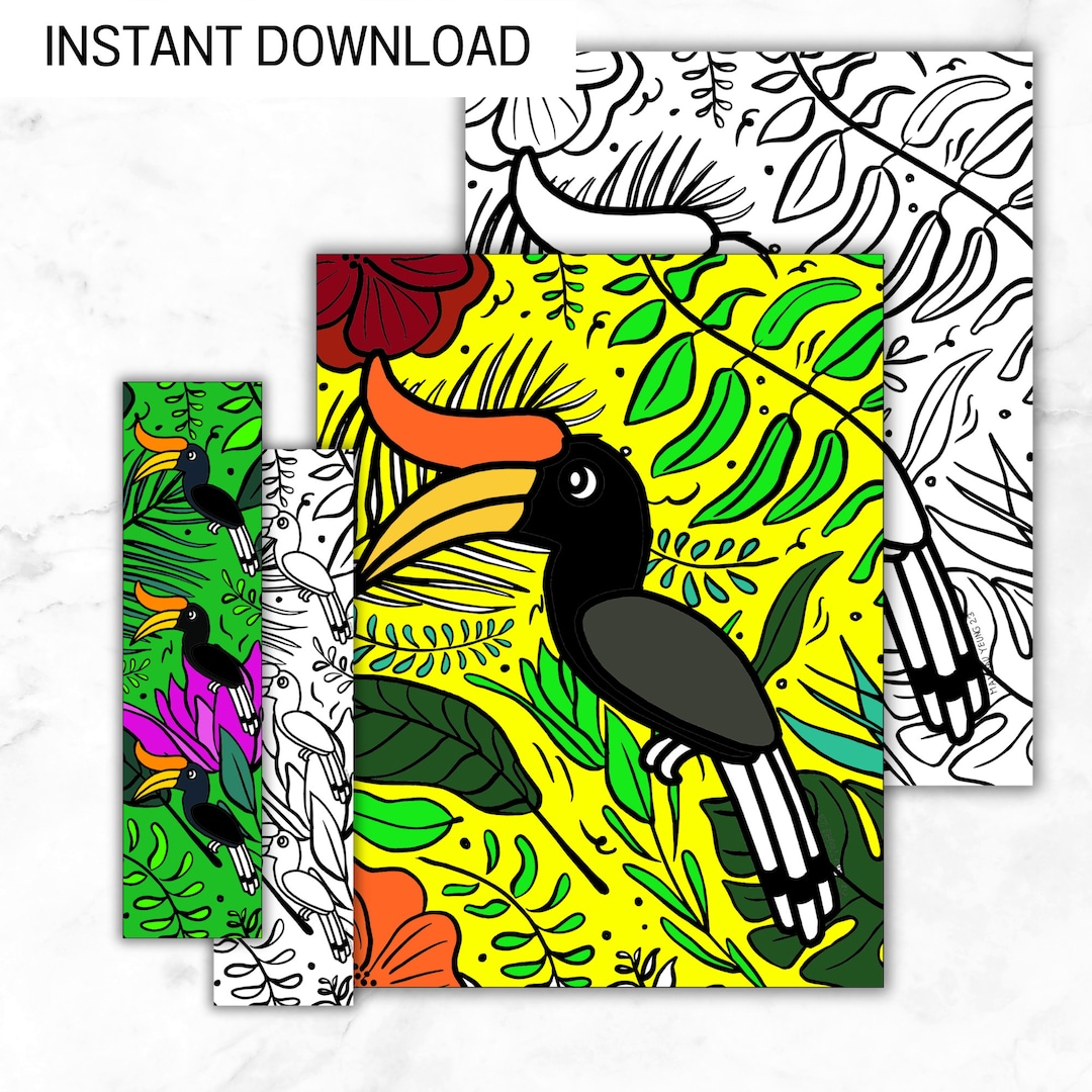 Borneo Animals Coloring Pages & Bookmarks: Orangutan, Hornbill (PDF ...