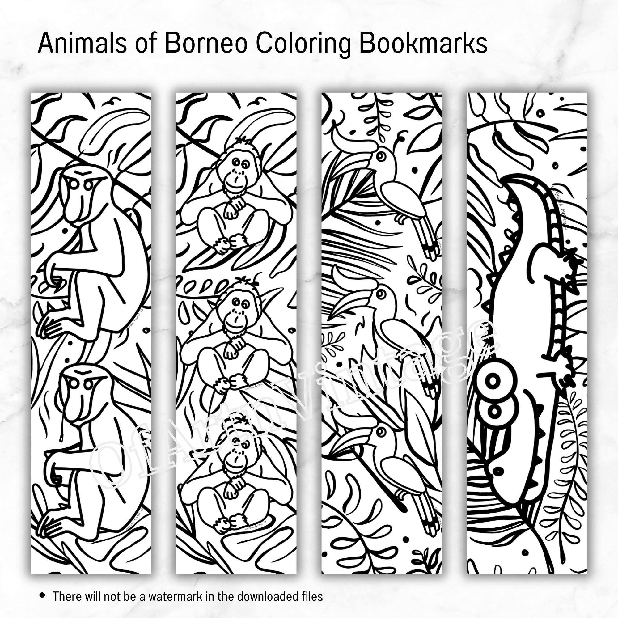 Borneo Animals Coloring Pages & Bookmarks: Orangutan, Hornbill (PDF ...
