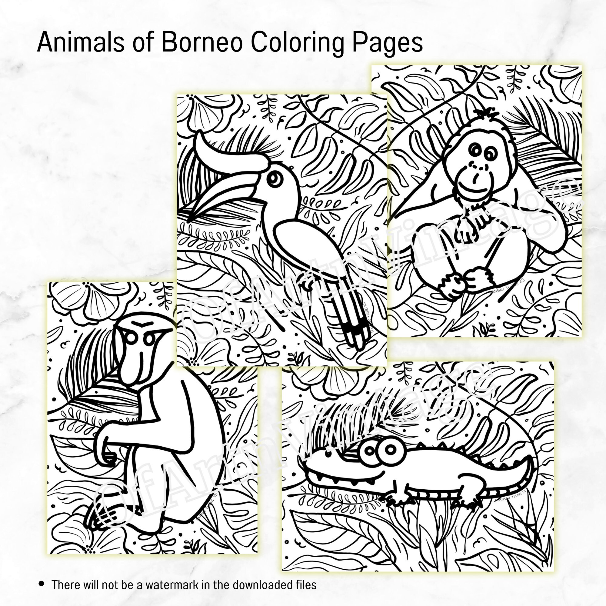 Borneo Animals Coloring Pages & Bookmarks: Orangutan, Hornbill (PDF ...