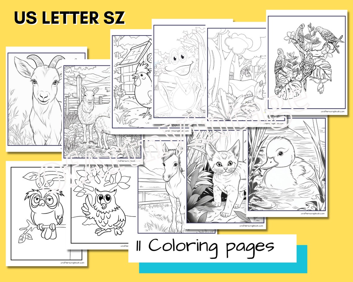 Kids Summer Nature Activity Pages Digital Printable - Etsy