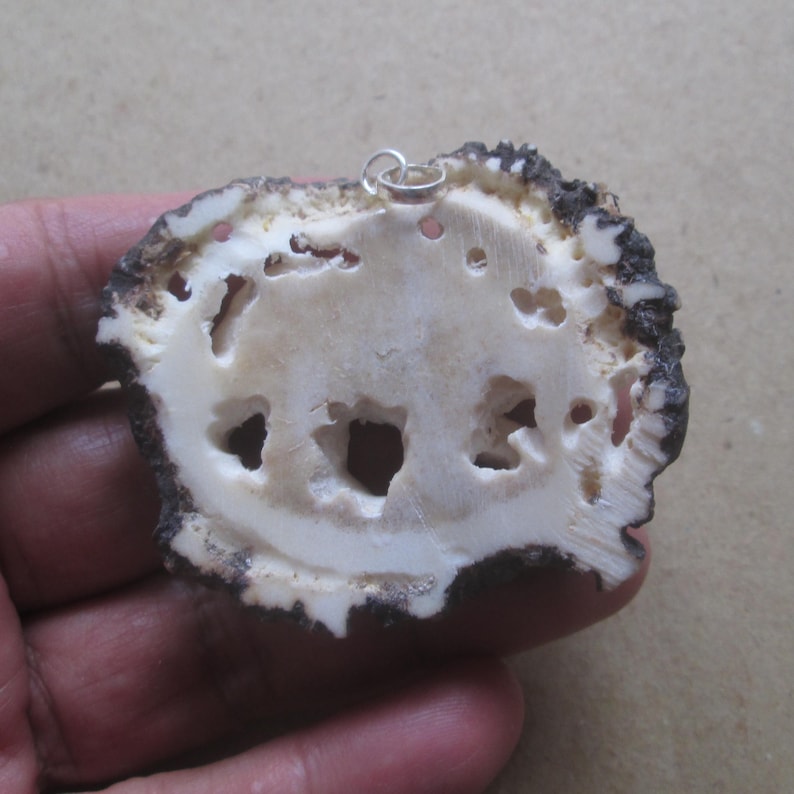 Carved Antler Bear Pendant, Deer Horn Bali Bone, Sterling Silver Bail ...