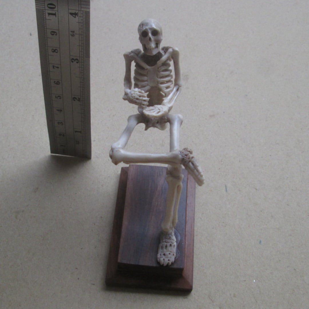 Skeleton Carved Antler, Deer Horn Bali Bone Carving Figure / Statue ...