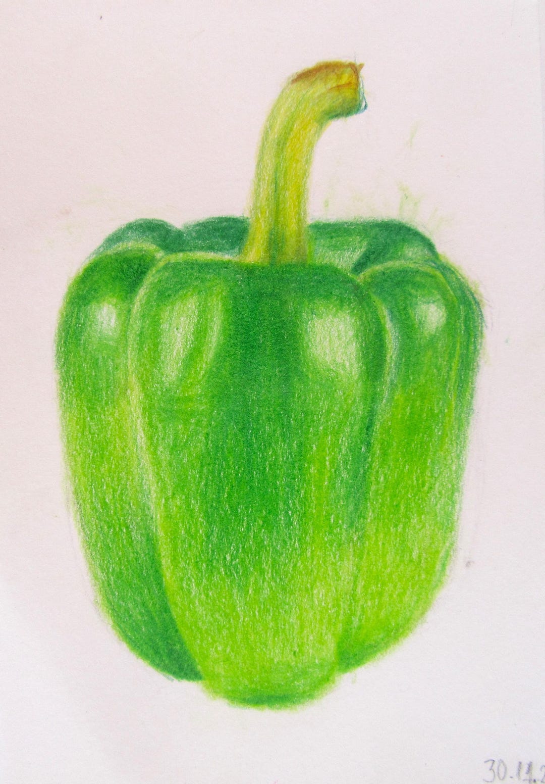 Green Pepper Original Pencil Drawing, Home Decor, Wall Hanging - Etsy