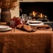 Cinnamon Rectangle Linen Tablecloth Christmas Theme Round Square ...
