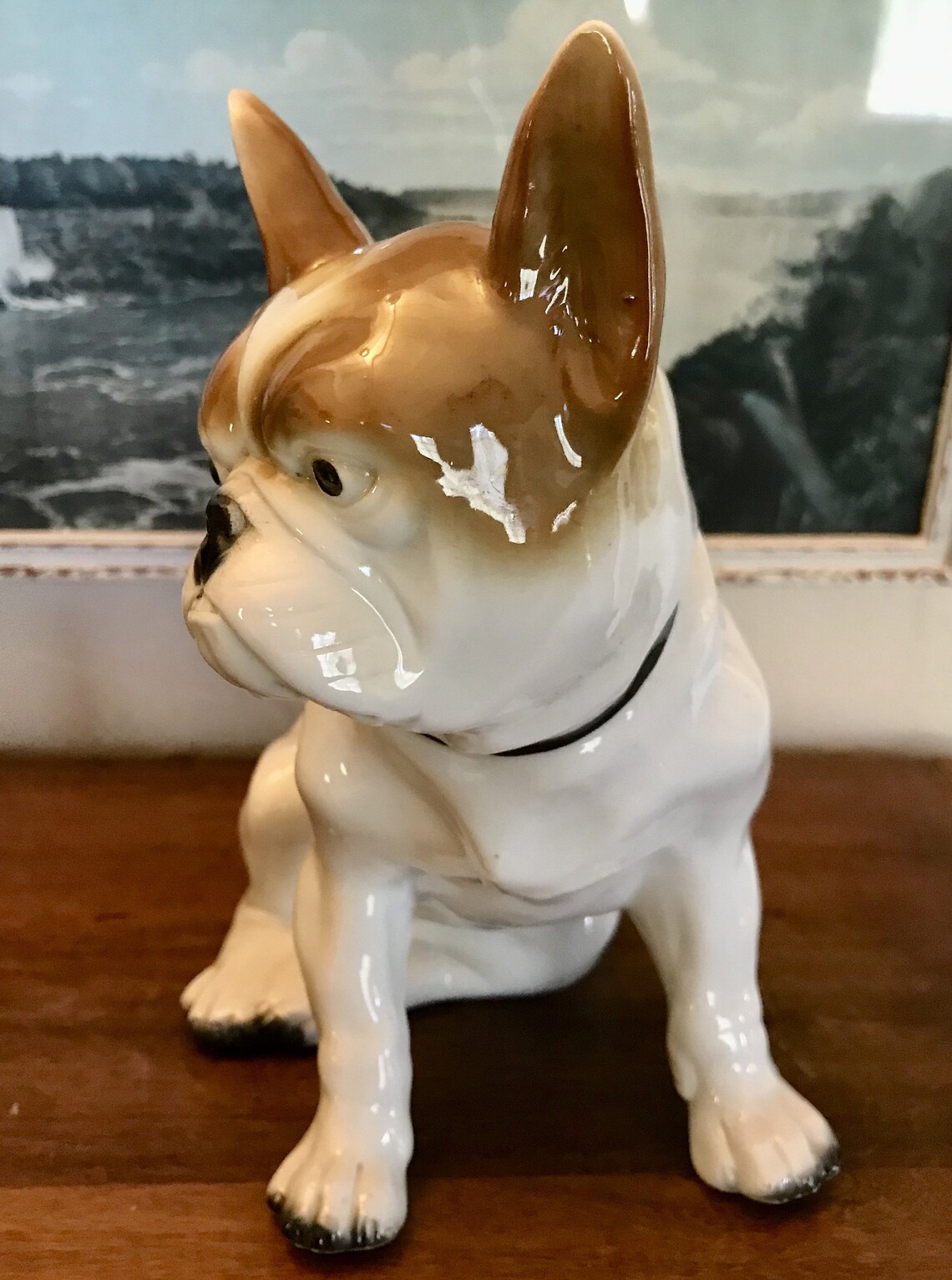 Sitzendorf Rare French Bull Dog - Etsy