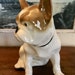 Sitzendorf Rare French Bull Dog - Etsy
