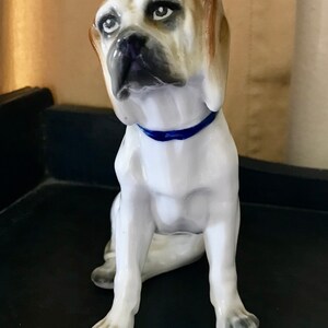 Sitzendorf English Pointer Dog - Etsy
