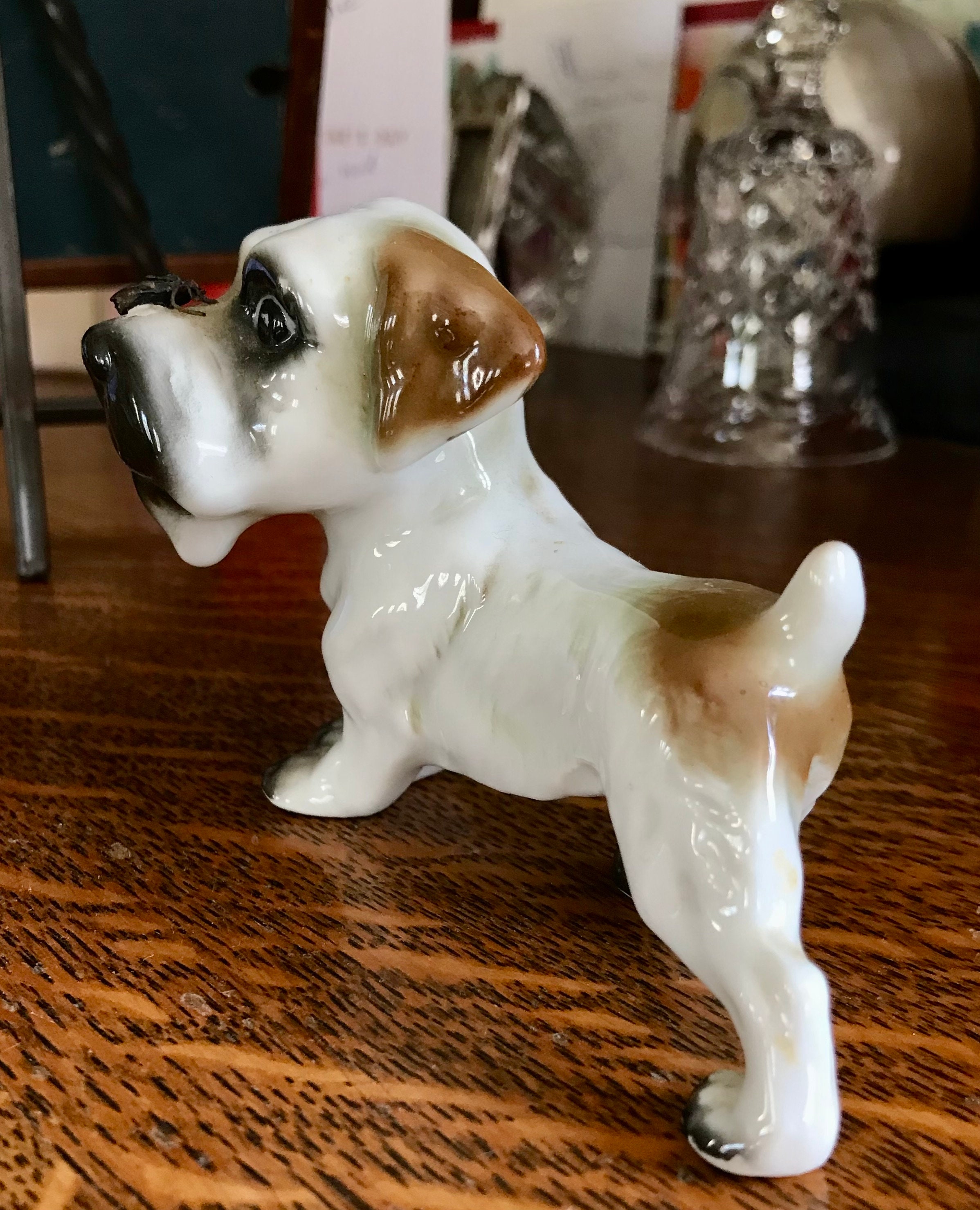 Sitzendorf Rare Bonzo Dog With Fly - Etsy