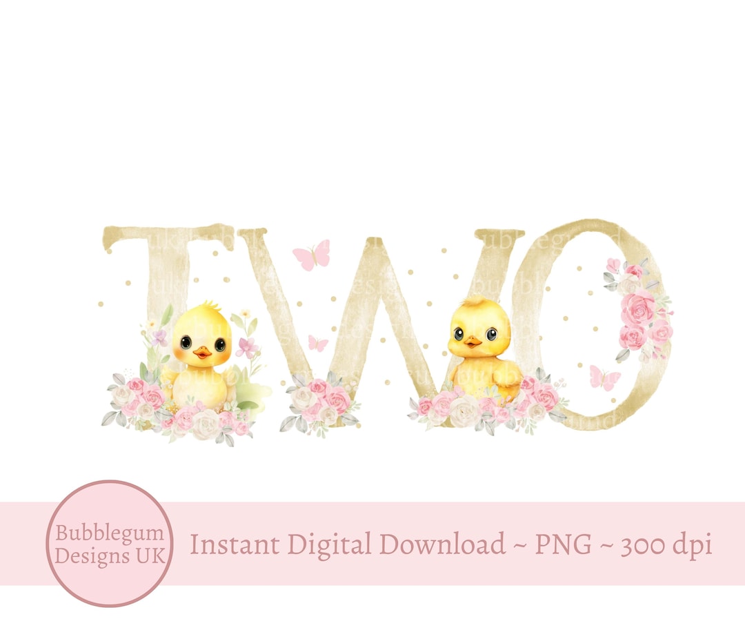 Two Duck PNG, Duck 2nd Birthday Sublimation Design, Rubber Ducky ...