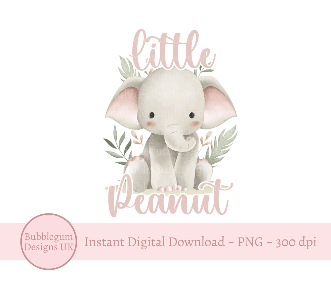 Little Peanut Baby Elephant PNG, Elephant Sublimation Design, New Baby ...