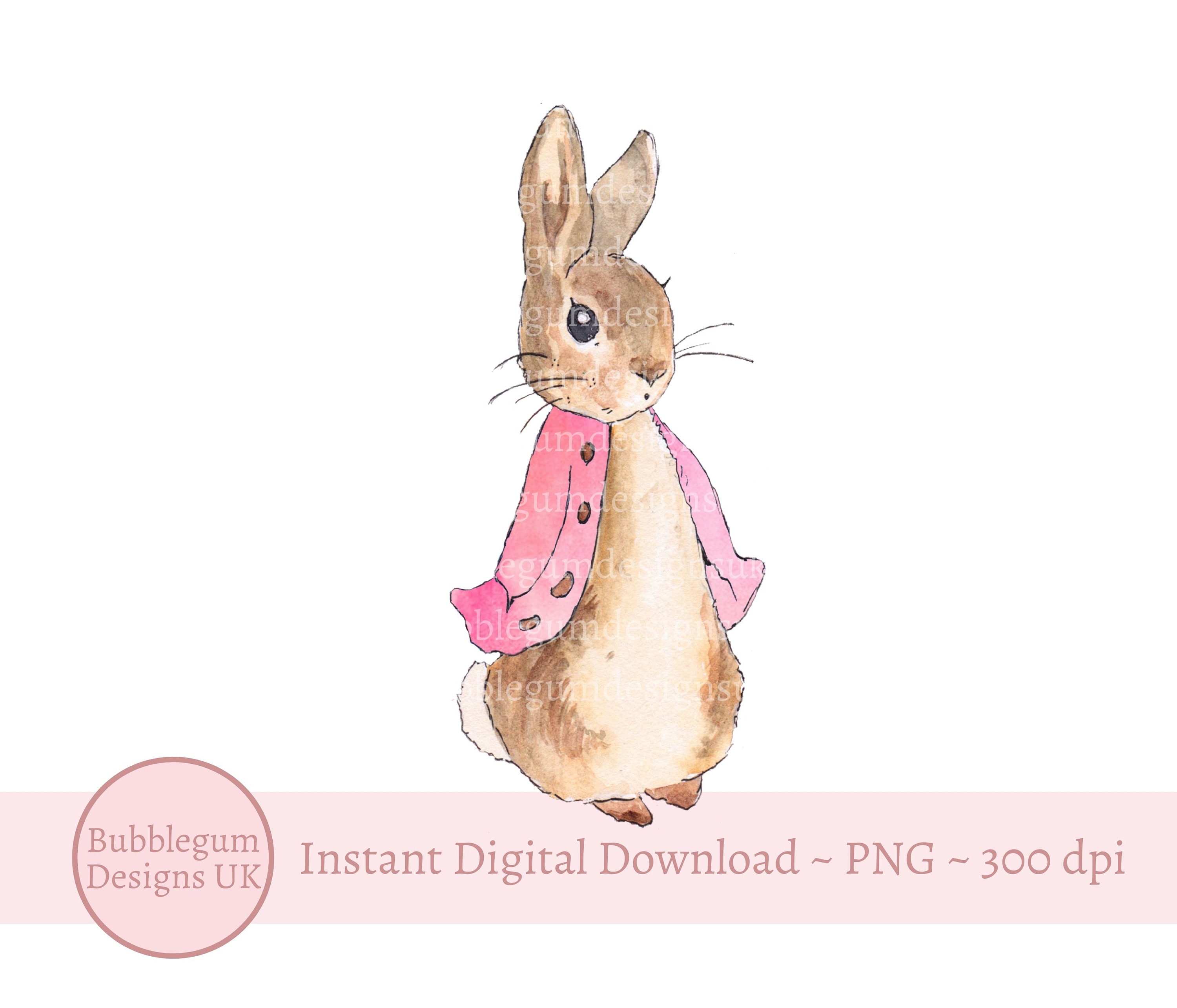 Flopsy Bunny PNG Peter Rabbit Sublimation Design Easter - Etsy Australia
