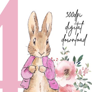Flopsy Bunny Pink Floral Numbers PNG, Pink Rabbit 10 Individual Numbers ...