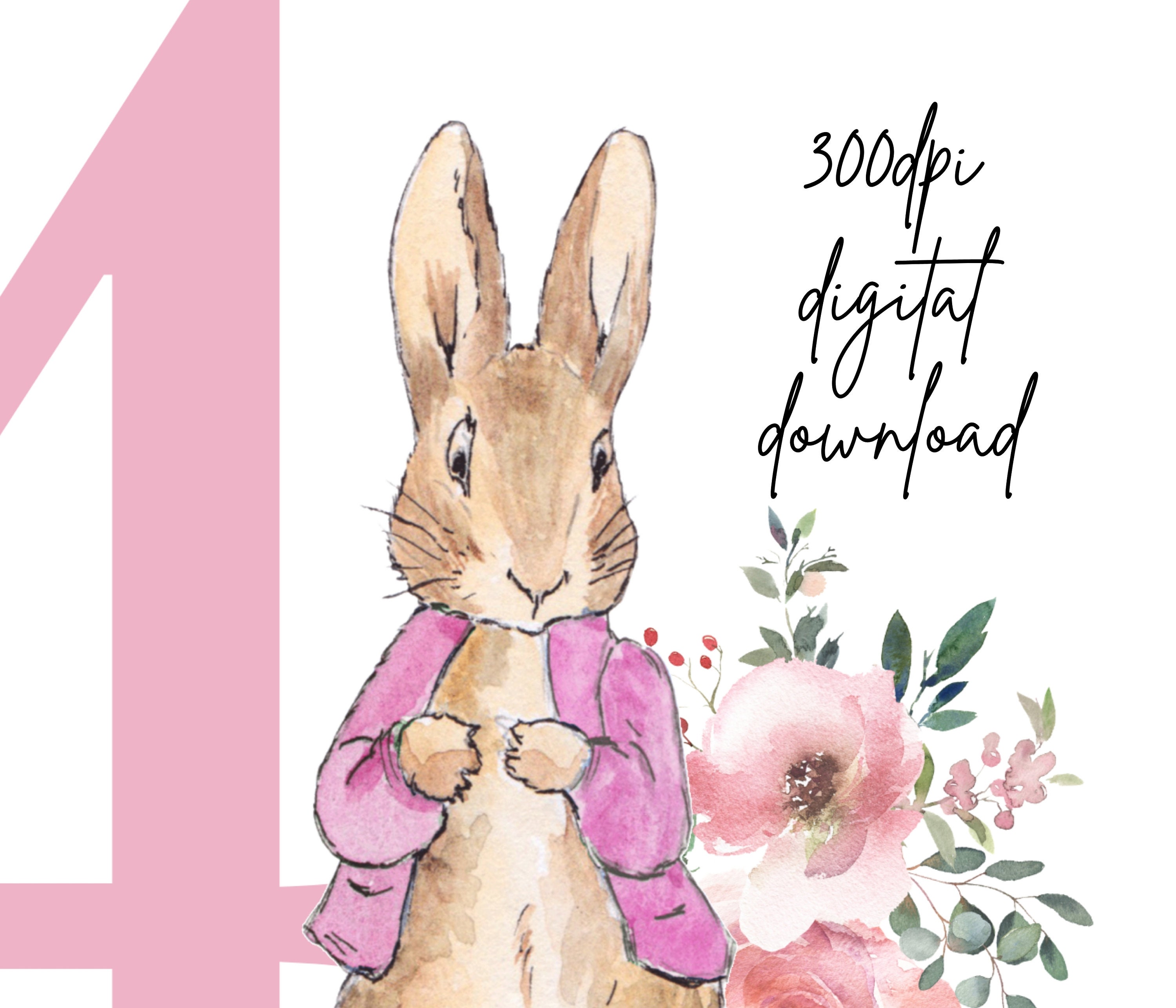Flopsy Bunny Pink Floral Numbers PNG Peter Rabbit 10 - Etsy UK