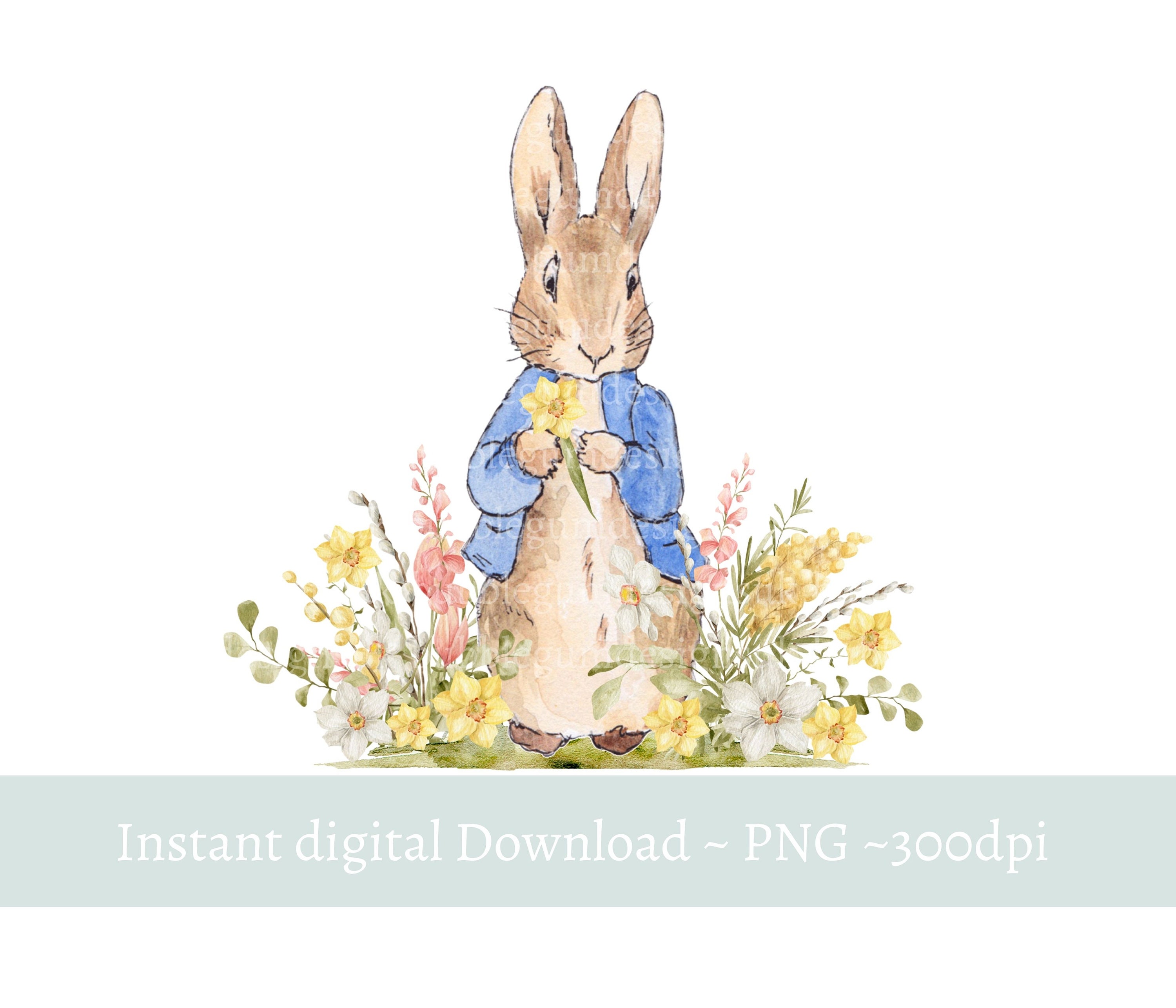 Peter Rabbit Spring Flowers PNG Diseño de sublimación de | Etsy México