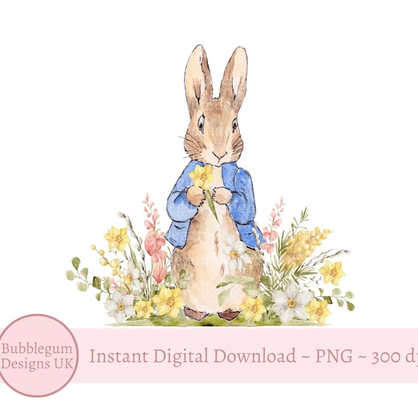 Peter Rabbit Friends - Etsy