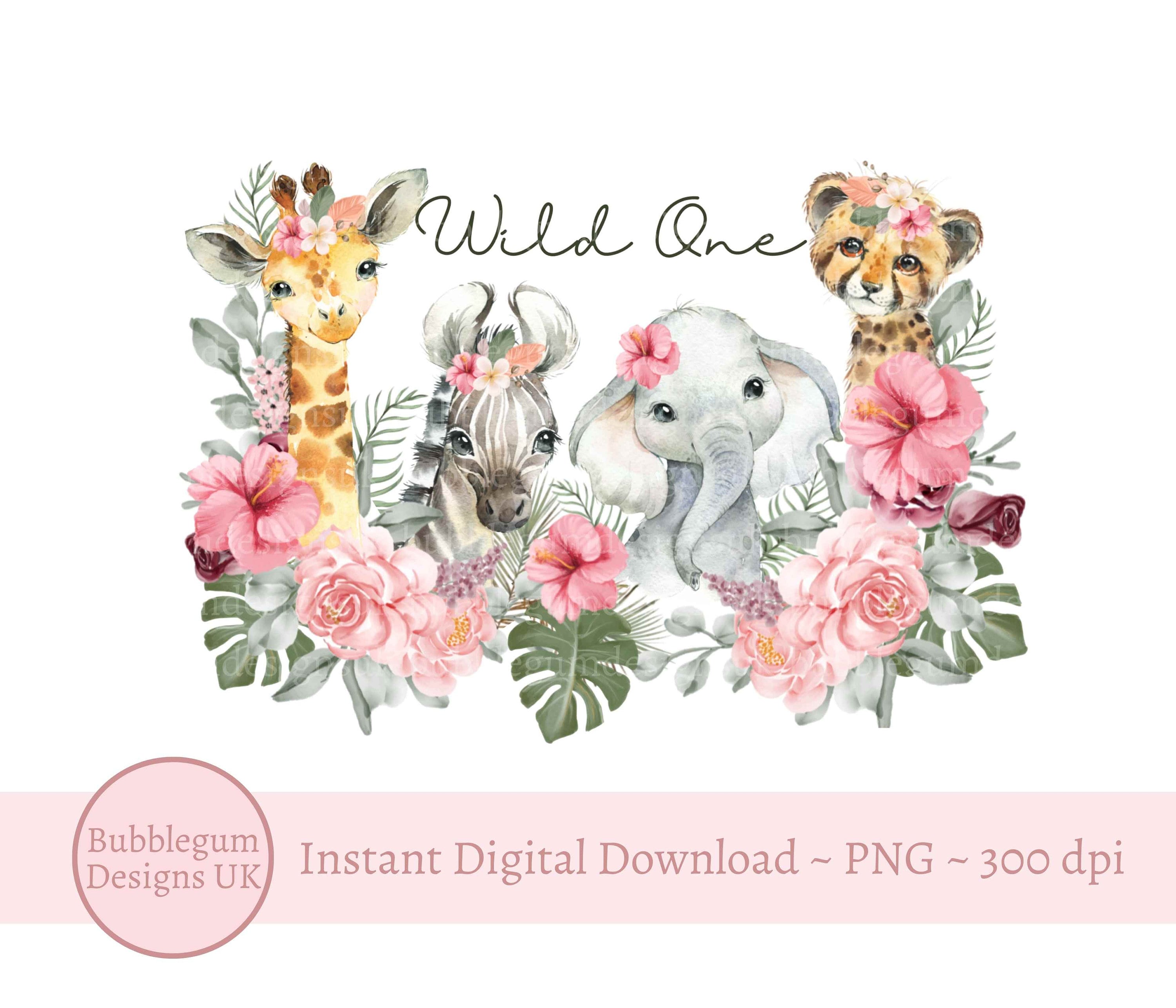 Baby Jungle Animals Png