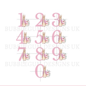 Flopsy Bunny Pink Floral Numbers PNG, Pink Rabbit 10 Individual Numbers ...