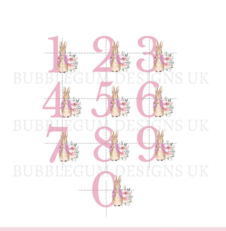 Flopsy Bunny Pink Floral Numbers PNG Peter Rabbit 10 | Etsy UK