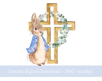 Peter Rabbit Easter - Etsy