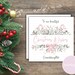 Pink Christmas Wishes PNG, Festive Greenery & Pink Berries, Christmas ...
