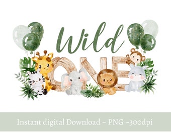 Wild One Birthday | Etsy