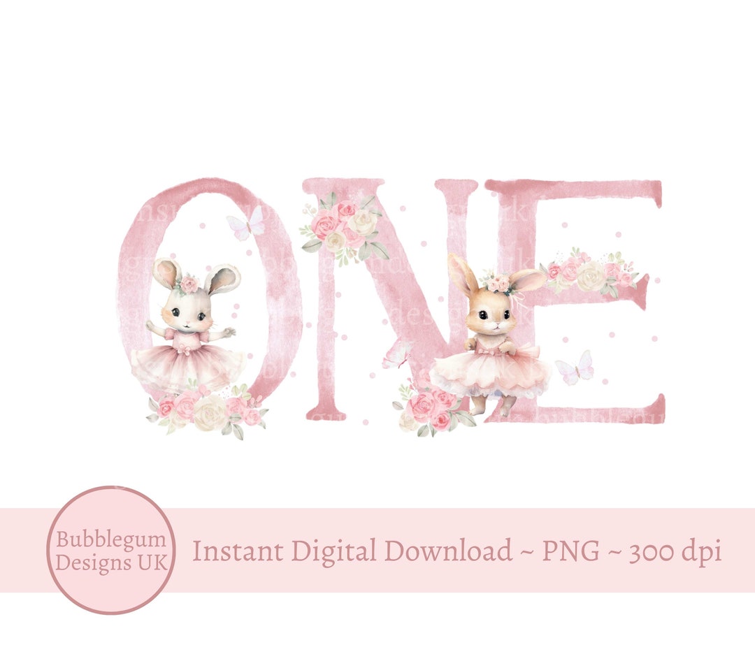 1st Birthday Bunnies Pink One PNG, Bunny Sublimation Design, Girls ...