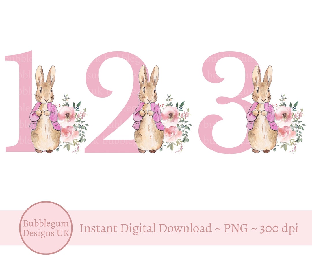 Flopsy Bunny Pink Floral Numbers PNG, Pink Rabbit 10 Individual Numbers ...