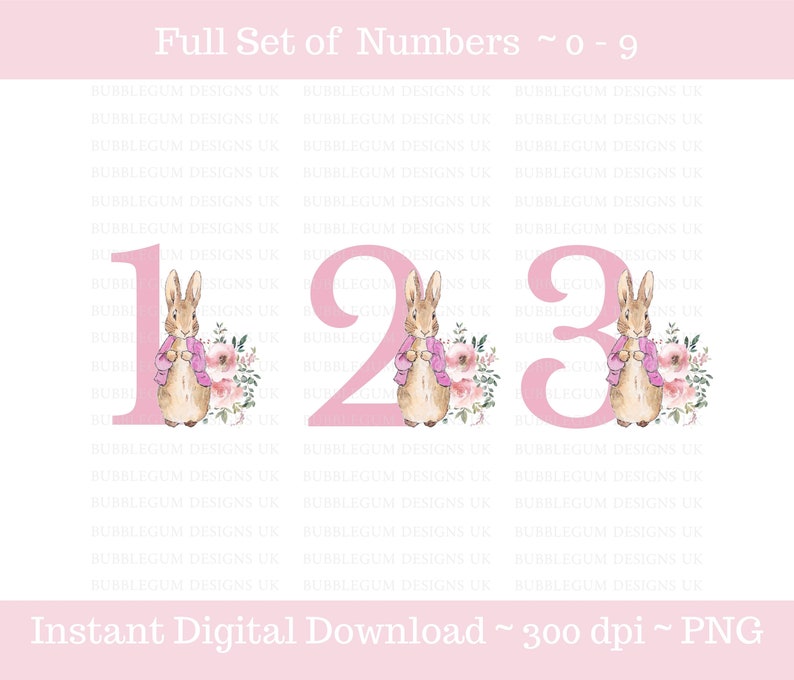 Flopsy Bunny Pink Floral Numbers PNG Peter Rabbit 10 - Etsy UK