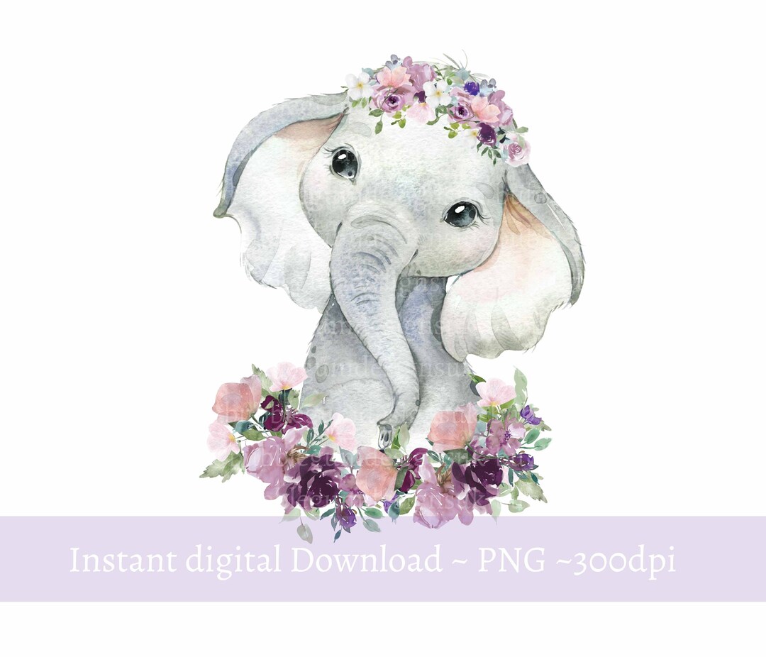 Baby Elephant Purple & Pink Floral PNG Watercolor Elephant - Etsy