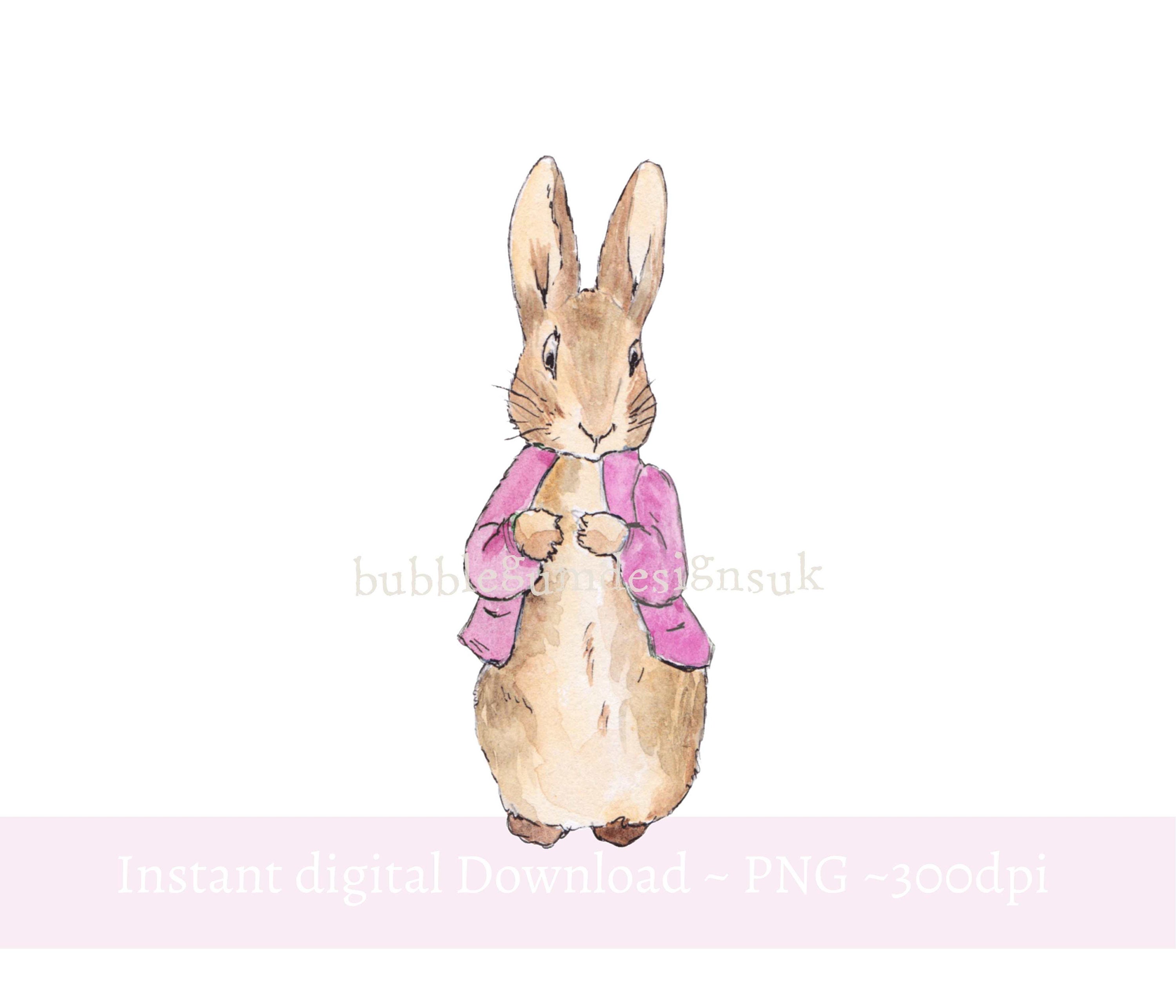 Flopsy Bunny PNG Peter Rabbit Sublimation Design Easter - Etsy UK
